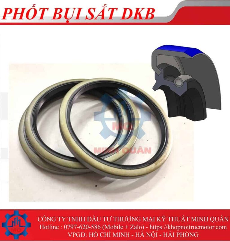 Phốt Chặn Dầu TG/TC, Phốt Dầu Svks | Minh Quân TTI